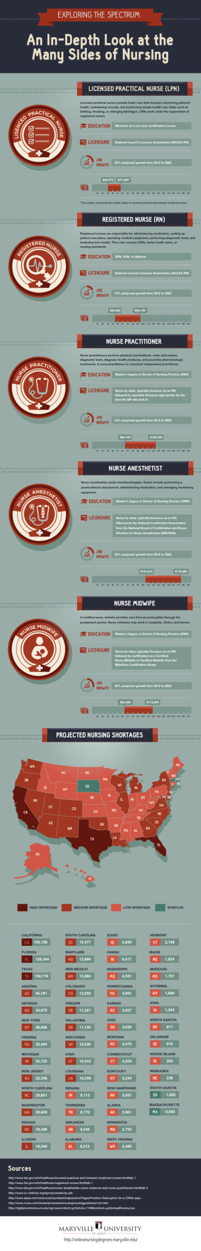 Exploring the Spectrum: An In-Depth Look at the Many Sides of Nursing ...