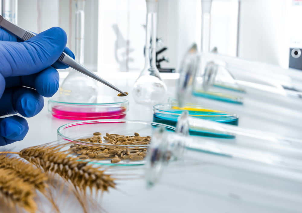 Food Biotechnology - Genetically Modified Food Controversies and Health