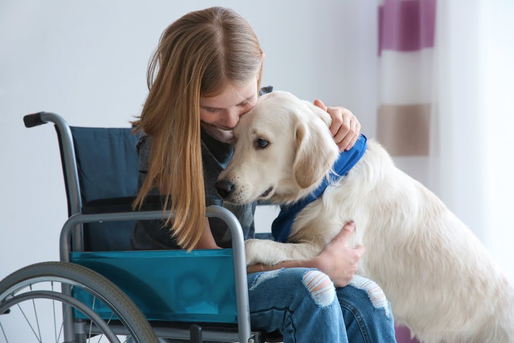The Major Benefits of Service Dogs for People with Disabilities